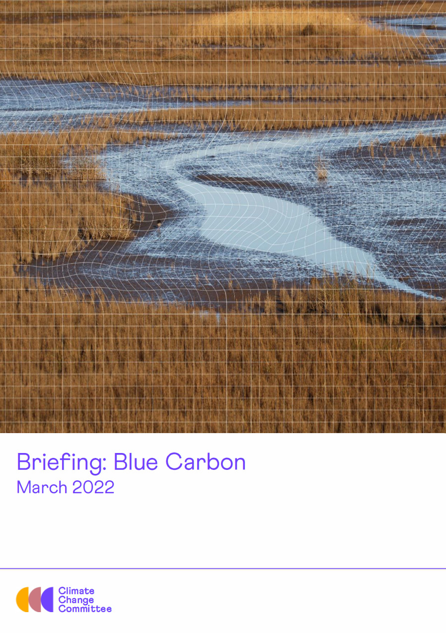 Briefing: Blue Carbon - Climate Change Committee