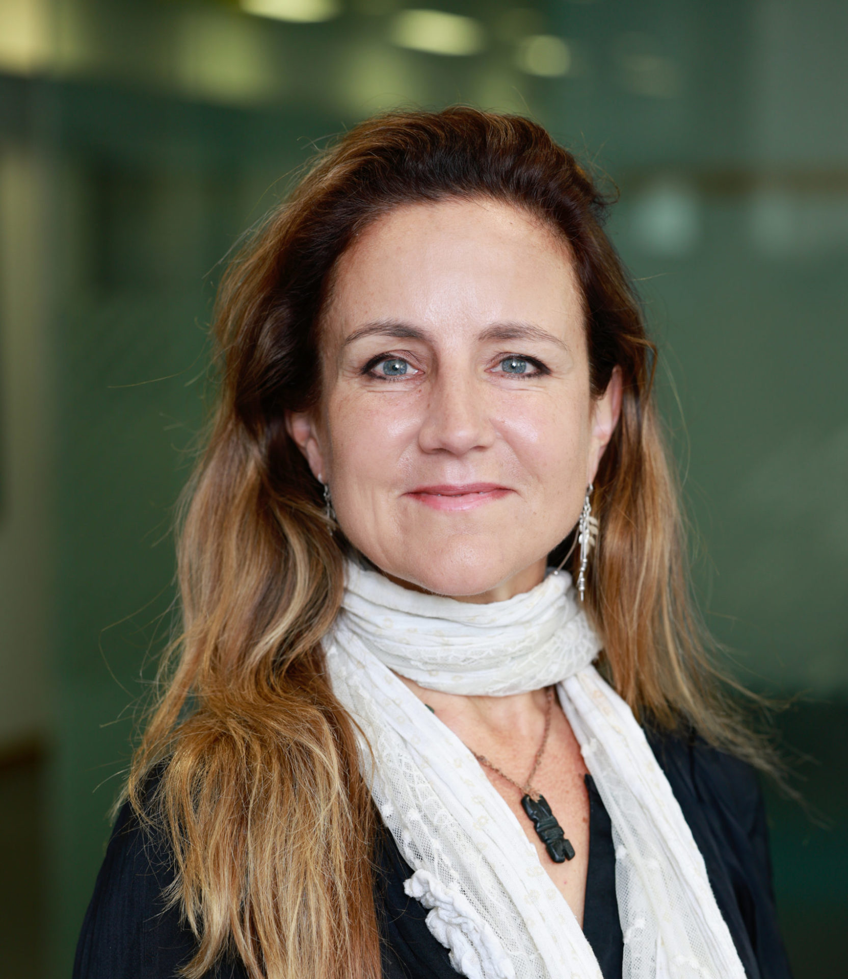 About the Climate Change Committee - Climate Change Committee