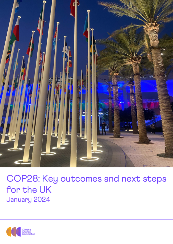 COP28: Key outcomes and next steps for the UK - Climate Change Committee